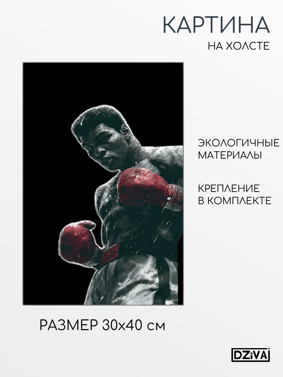 Картина на холсте Бокс 30x40 см