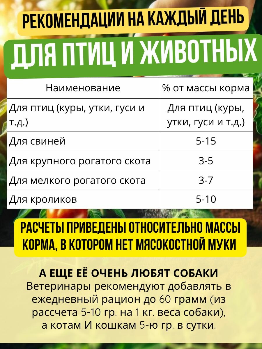 Корм для птиц 5 кг — фото 1