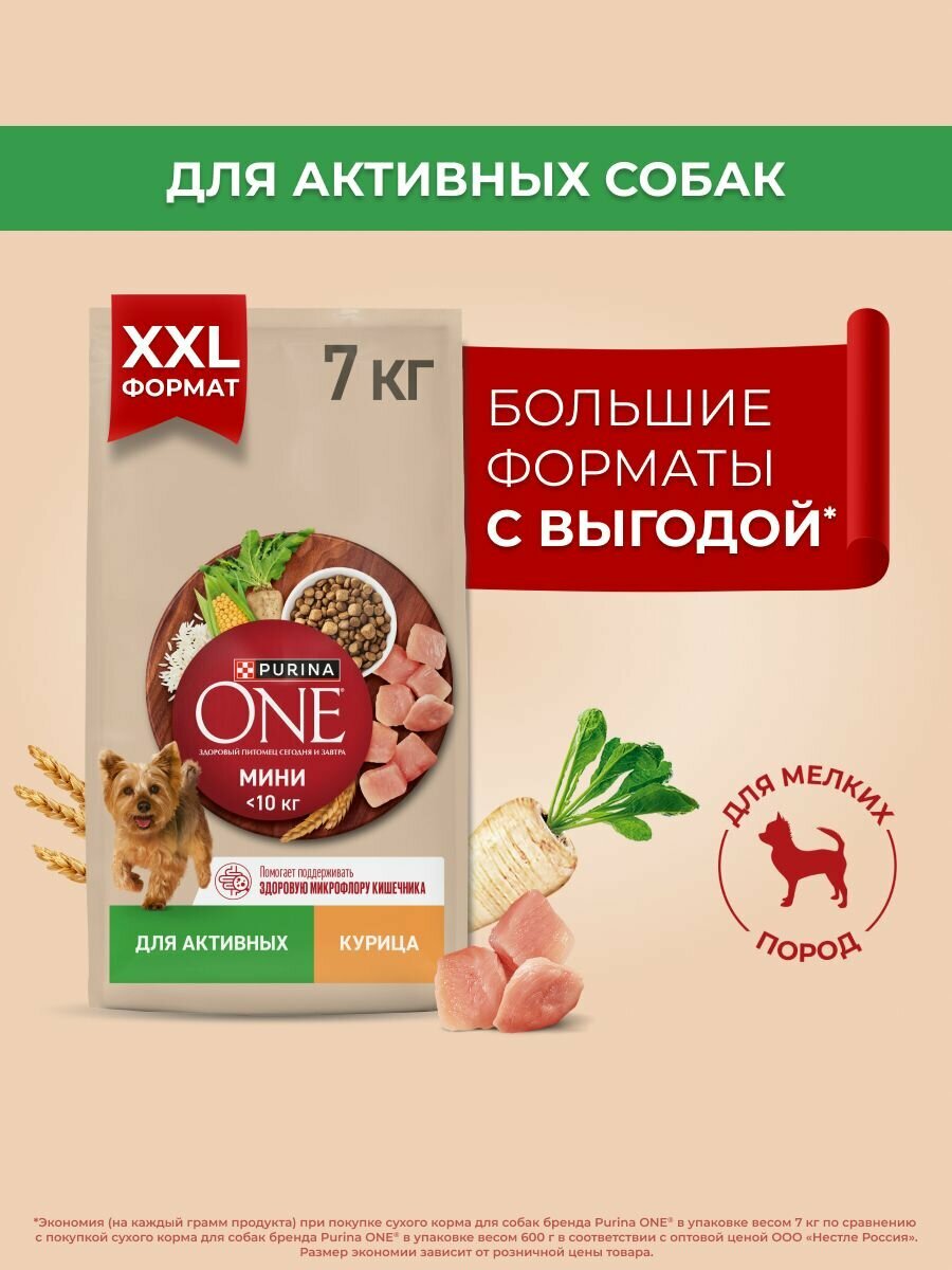 Сухой корм для собак PURINA ONE мини для мелких и карликовых пород при активном образе жизни, с курицей и рисом, 7 кг