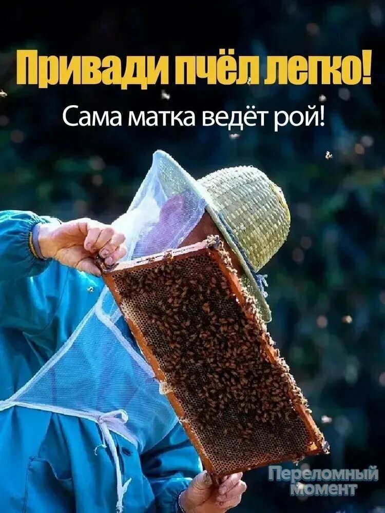 Апирой для пчел — фото 1