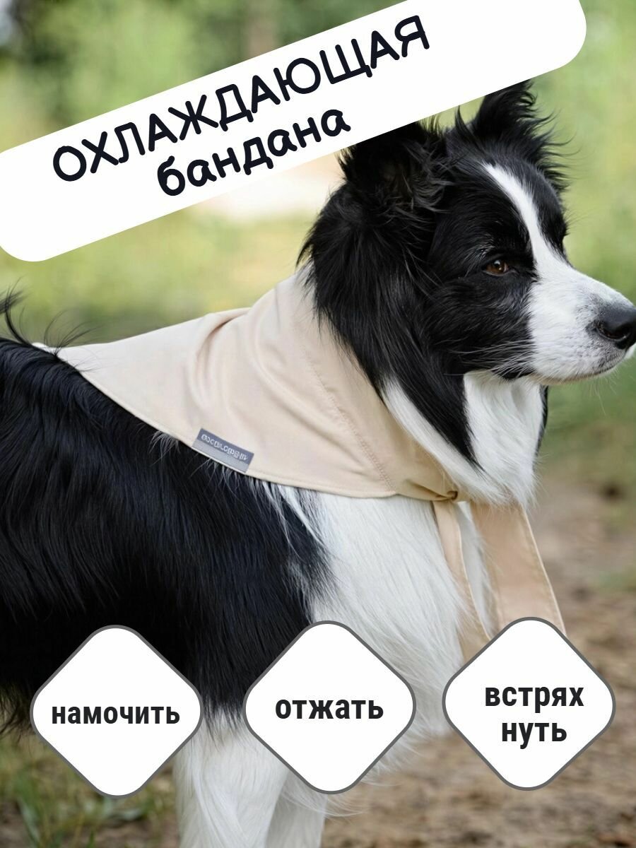 Охлаждающая косынка для собак, кошек, Бежевая. Размер М