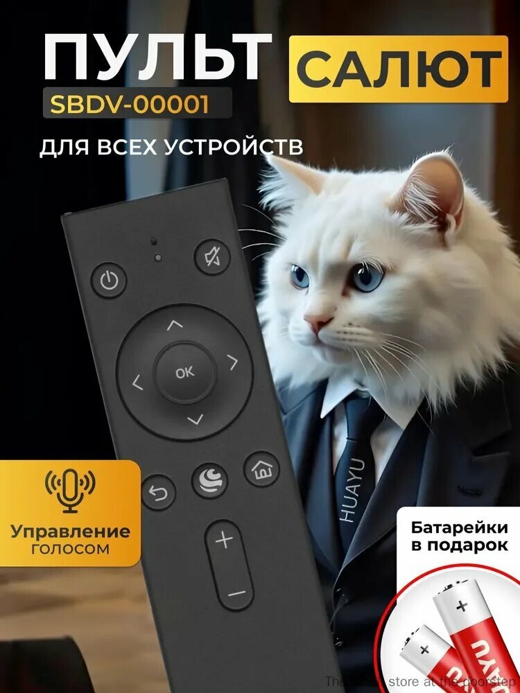 Пульт для телевизора