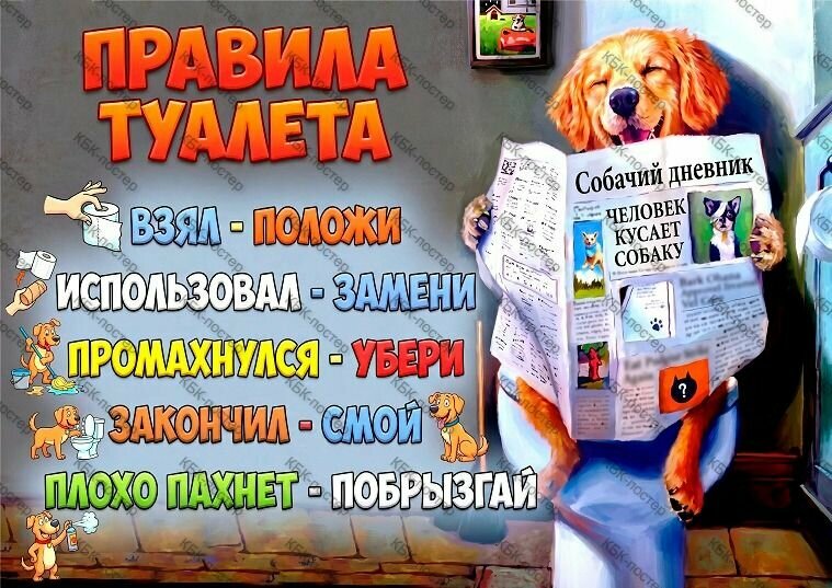 "Правила туалета". 21х30 см. Плакат для туалета А4_074.