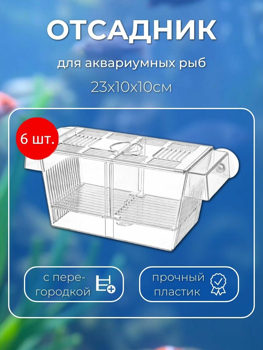 Отсадник 6 шт. Naribo FH-M для аквариумных рыб, с перегородкой, 23x10x10 см. Нарибо