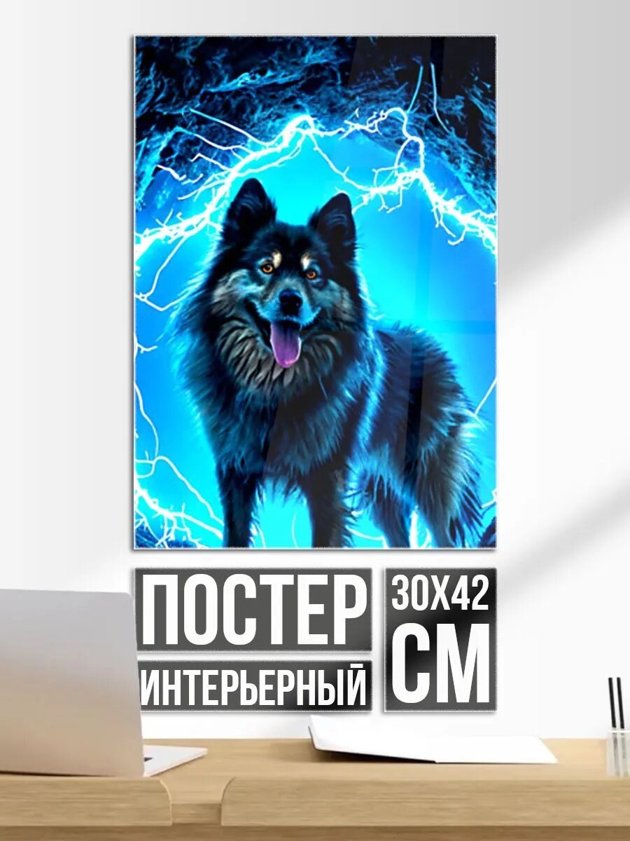 Постер на стену Финский лаппхунд в разрядах молний