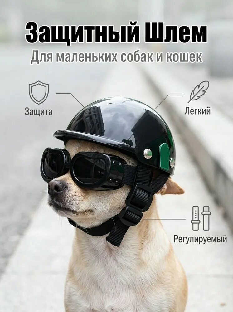 Защитный регулируемый шлем для маленьких собак и кошек, пластиковый, для улицы