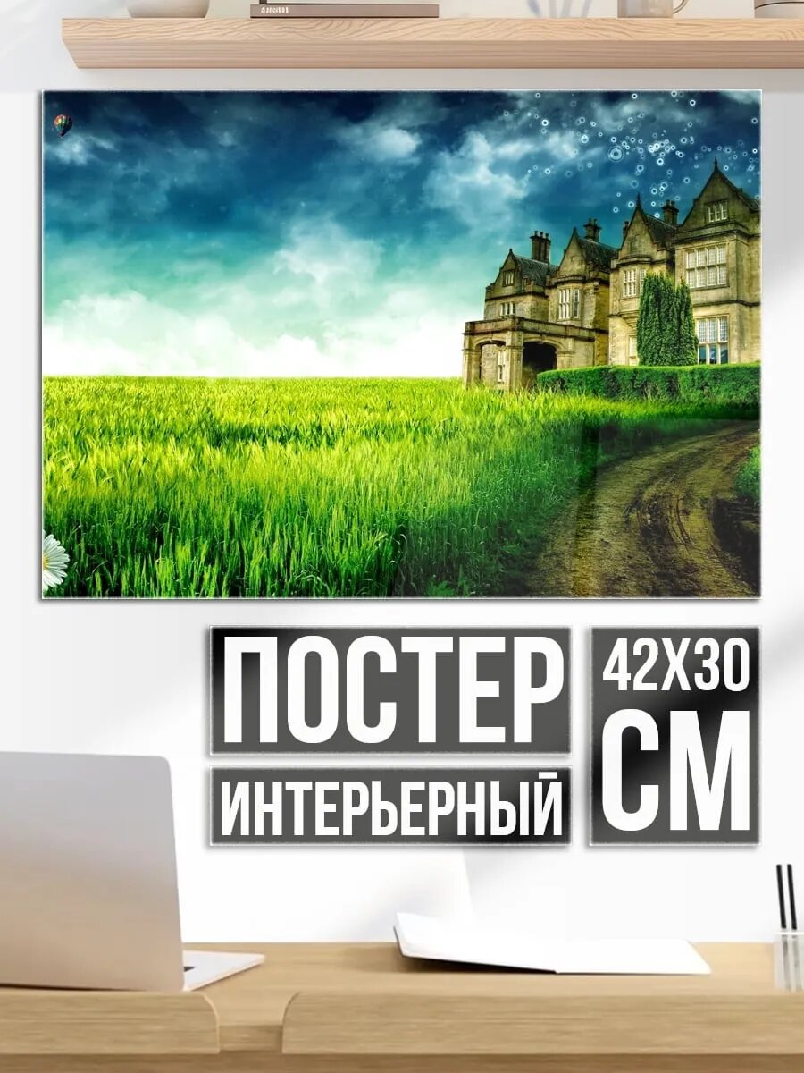 Плакат постер Замок в тумане