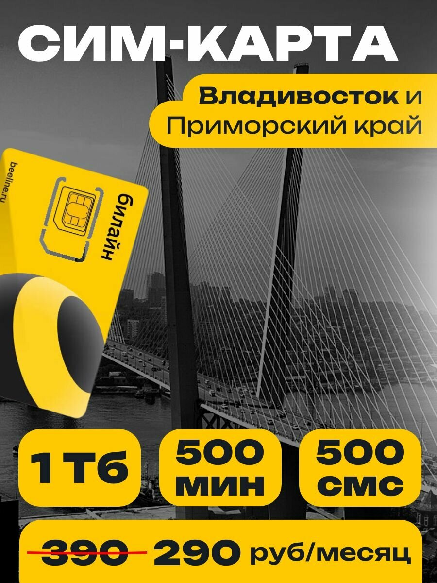 Сим-карта Билайн тариф Эксклюзивный Приморский край 1024 Гб + 500 минут за 290 руб.