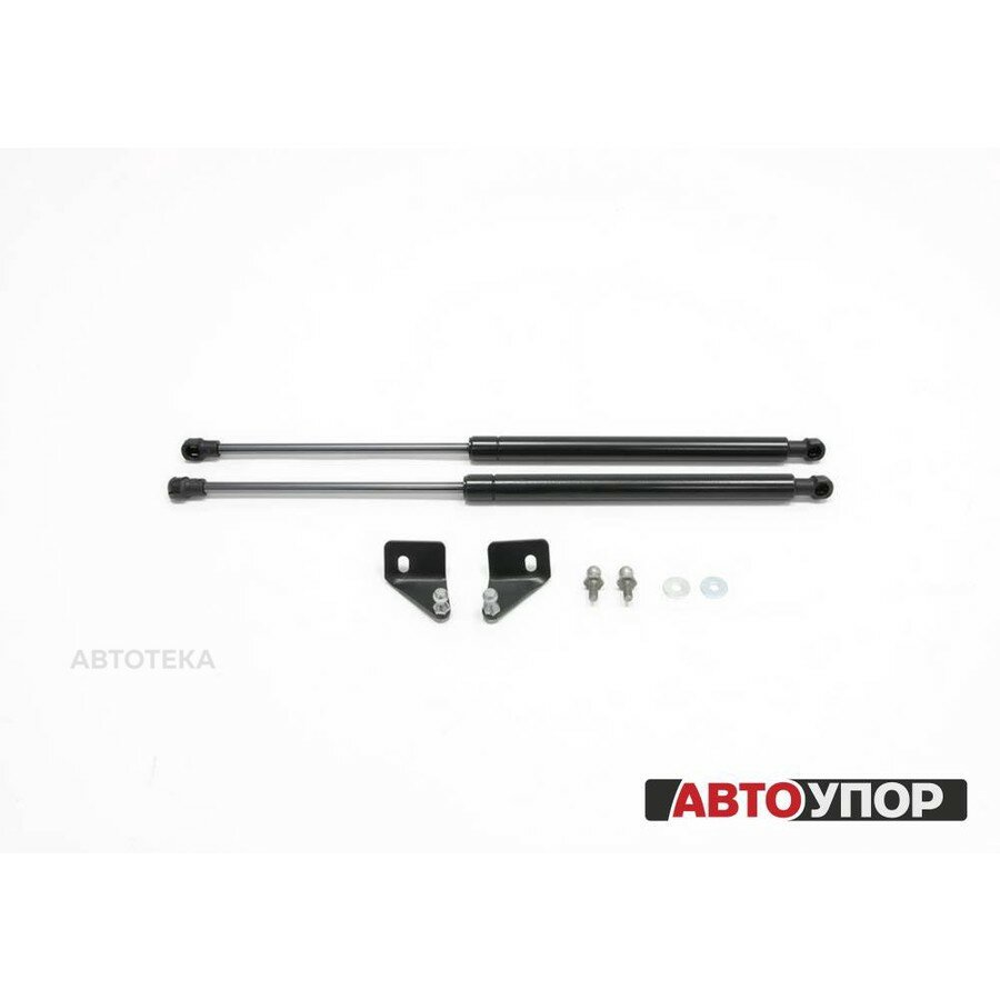 Амортизаторы капота (2 шт.) Renault Sandero / Step Way (2009-2014/2010-2014) автоупор URESANSTW011