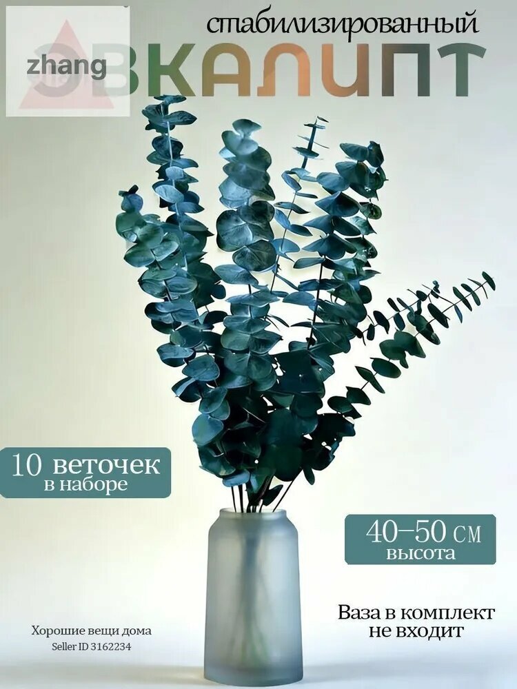 Сухоцветы Эвкалипт, 50 см, 10 шт