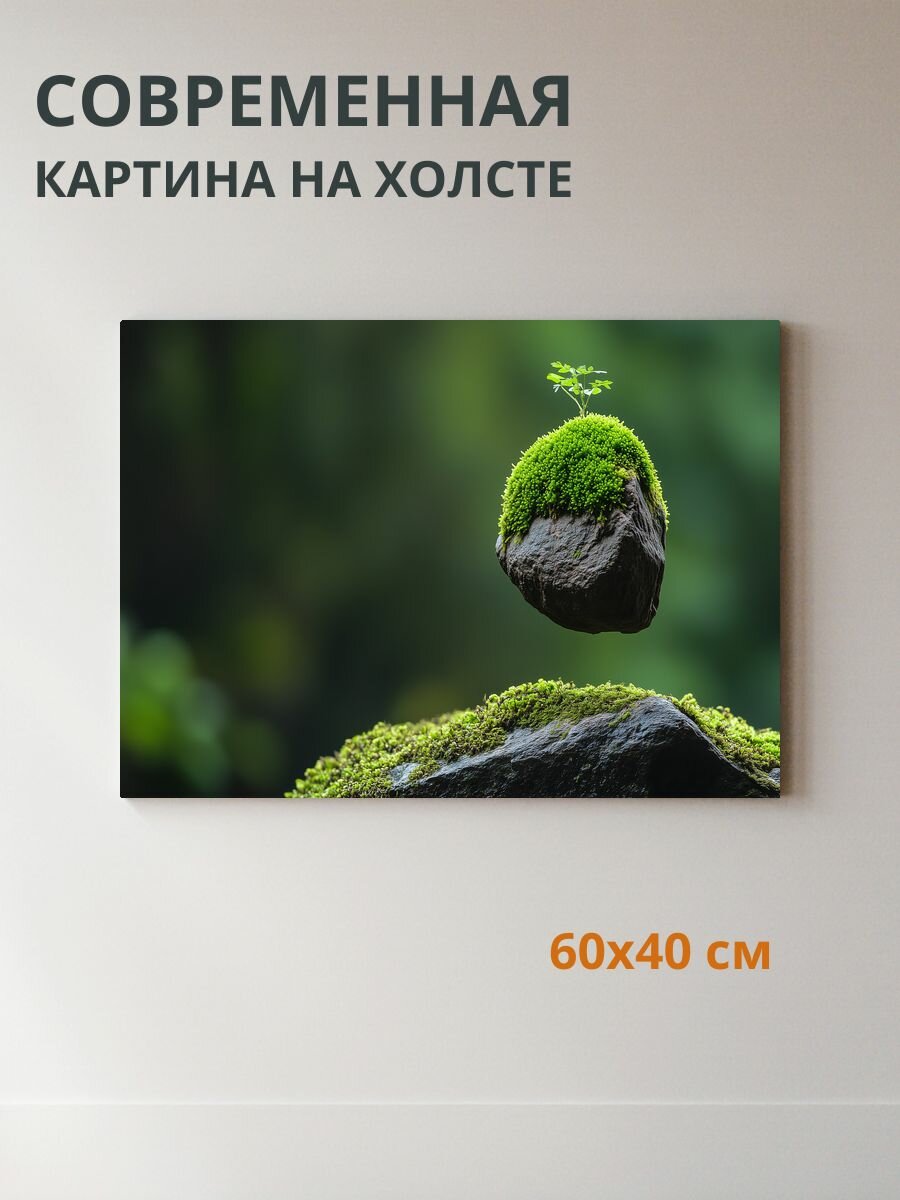 Картина на холсте Камень в воздухе с мхом 60x40 см