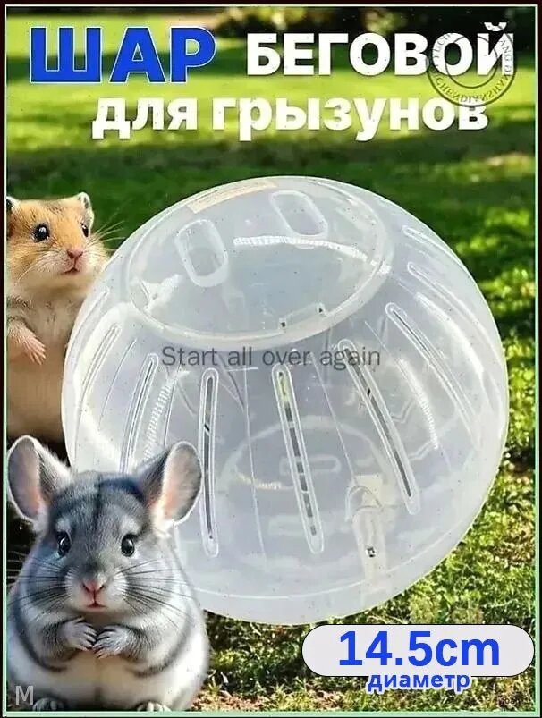 Шар прогулочный (беговой) для хомяков, крыс, свинок, грызунов, диаметр 14.5 см, разборный, прозрачный, белый