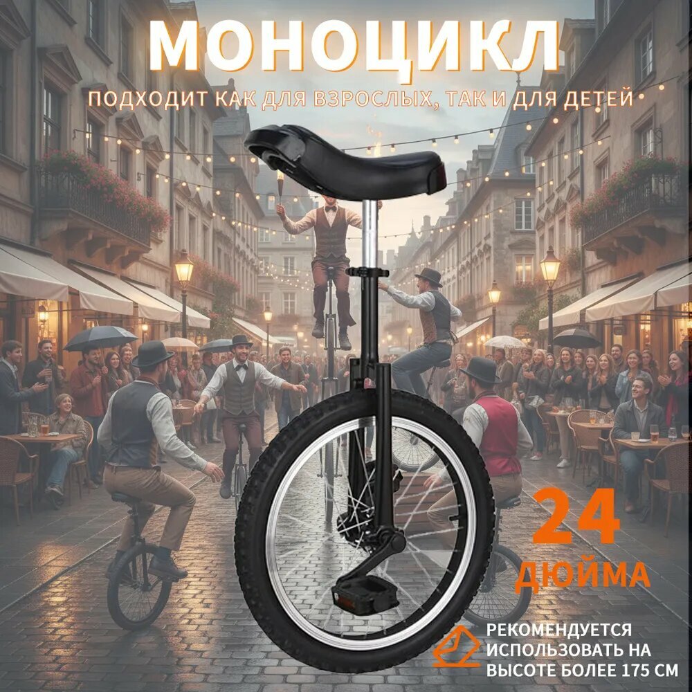 Моноцикл, 24 дюйма, для взрослых и детей, стальной корпус, черный/серебристый