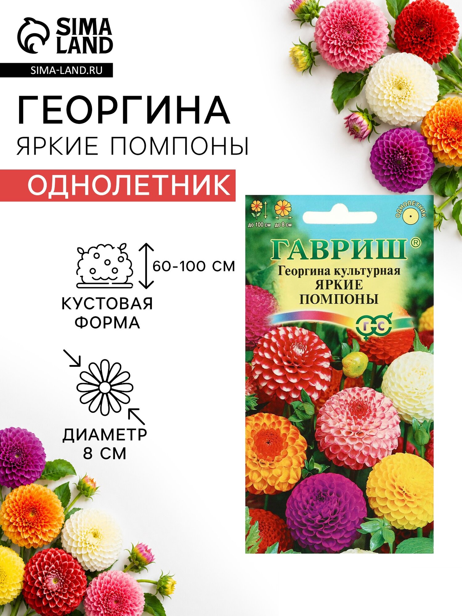Семена цветов Георгина «Яркие помпоны», 0.2 г, «Гавриш»