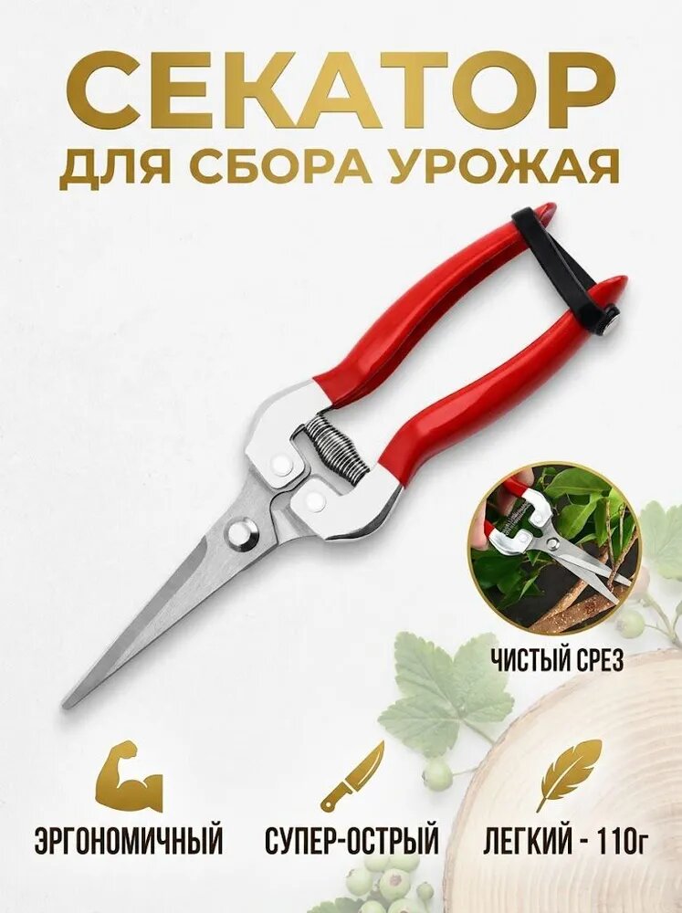 Секатор