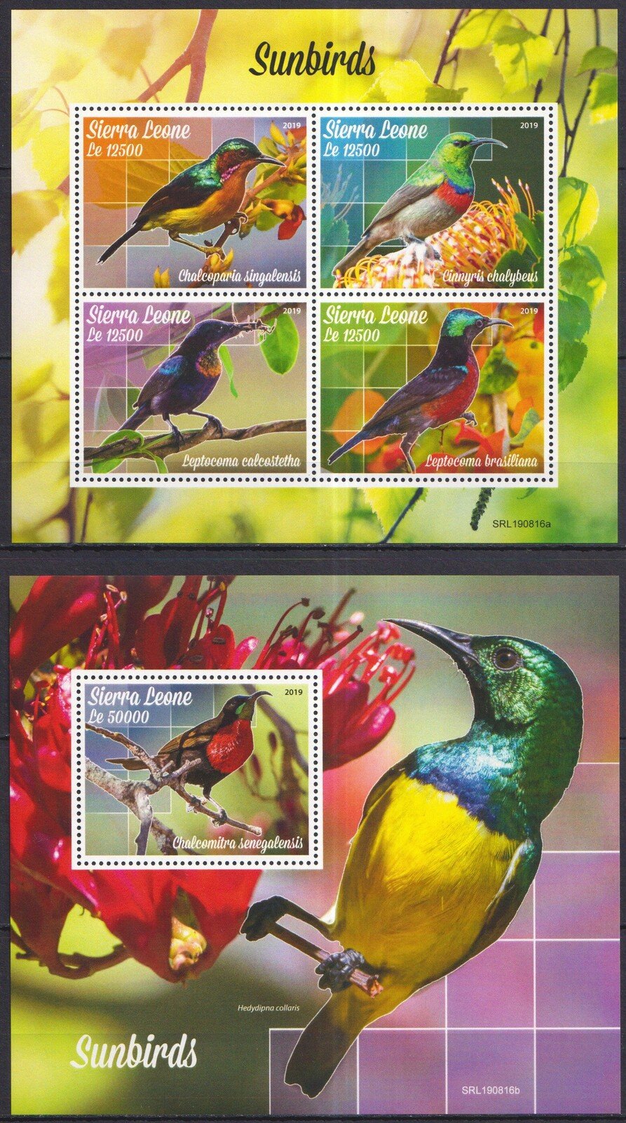 Марки 2019 год Сьерра-Леоне Нектарницы Птицы Фауна #11495-11498+Bl1792 Mnh