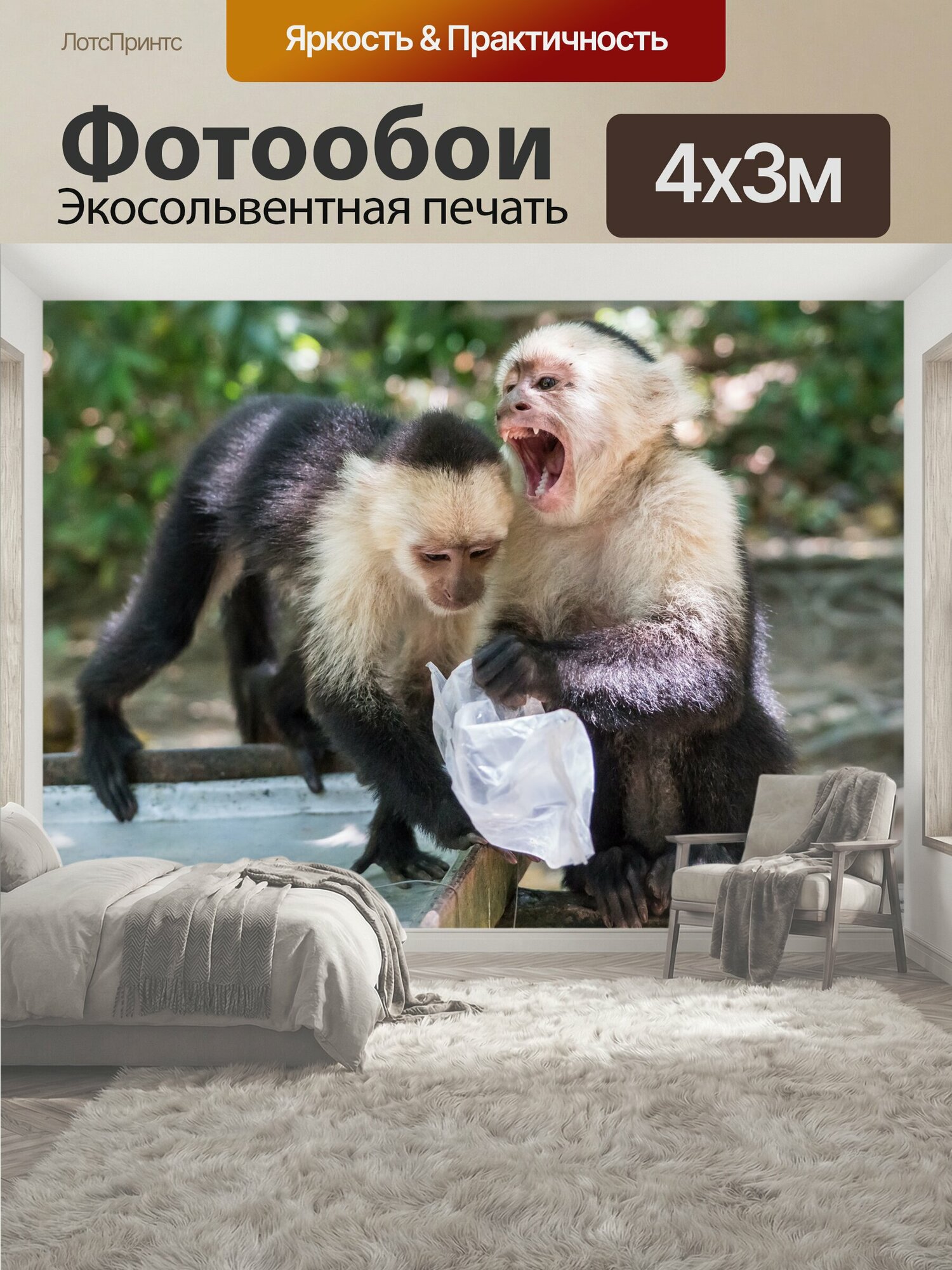 Фотообои "Белоголовые капуцины, обезьяны, млекопитающее" 400x300 см. экосольвентная печать