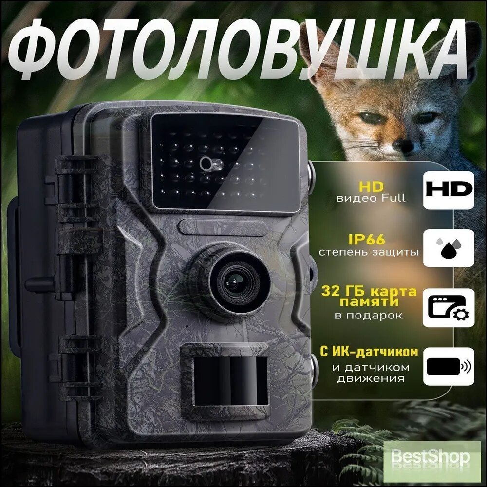 Know EasyxФотоловушка стандартный классический вариант базовой серии стандартная модель