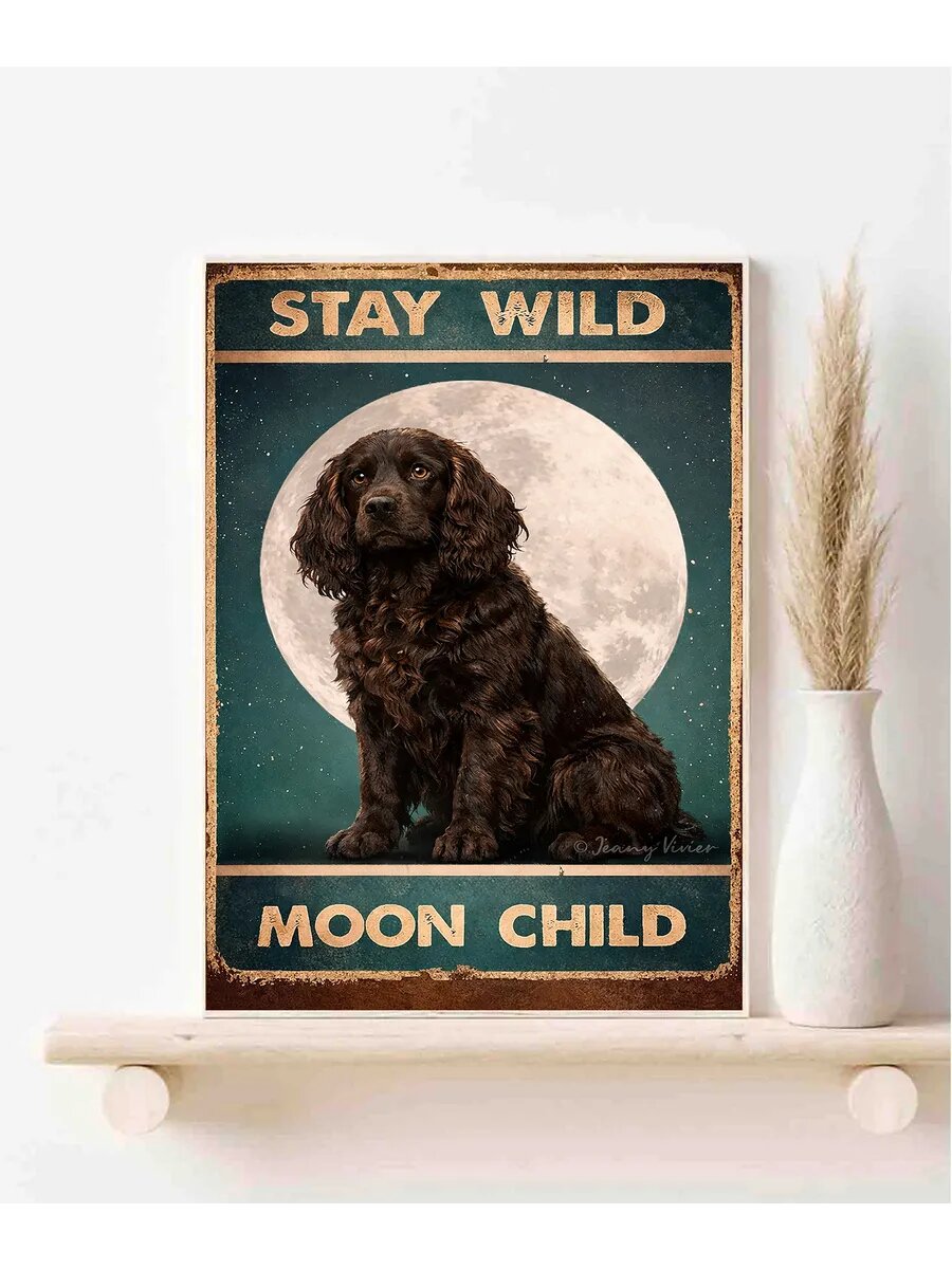 Бойкин-спаниель, Stay Wild Moon Child, Плакат 30x42см
