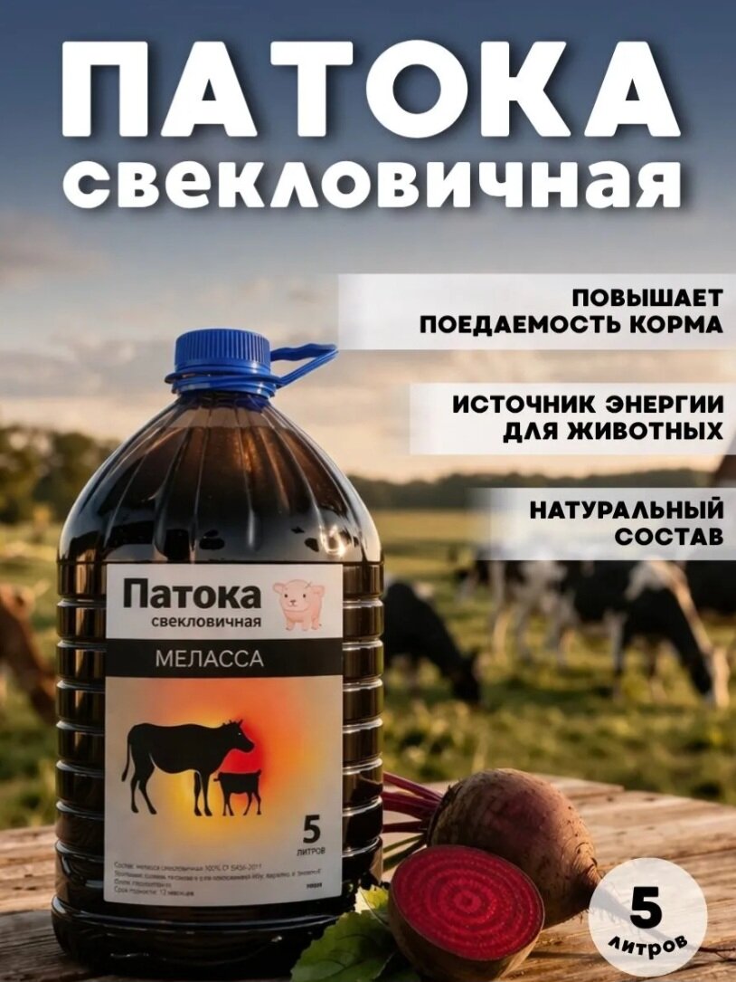 Патока свекловичная кормовая (меласса) 5 л