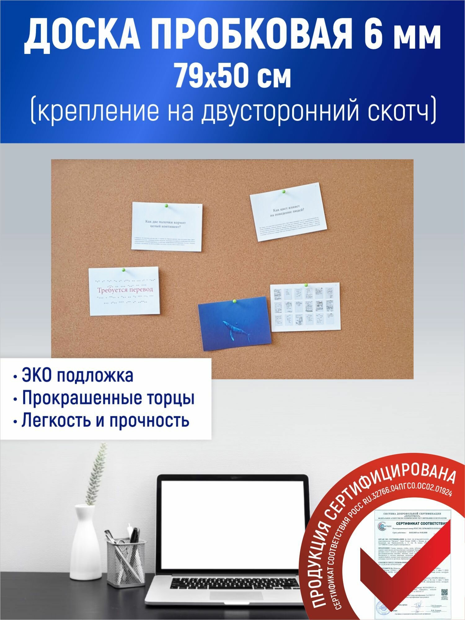 Пробковая доска на стену 50х80 6 мм для заметок записей фотографий и рисунков, стенд органайзер информационный без рамы