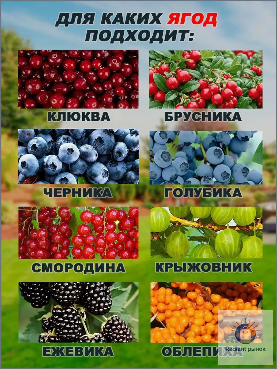 Плодосборник,14х8.5х23см — фото 1