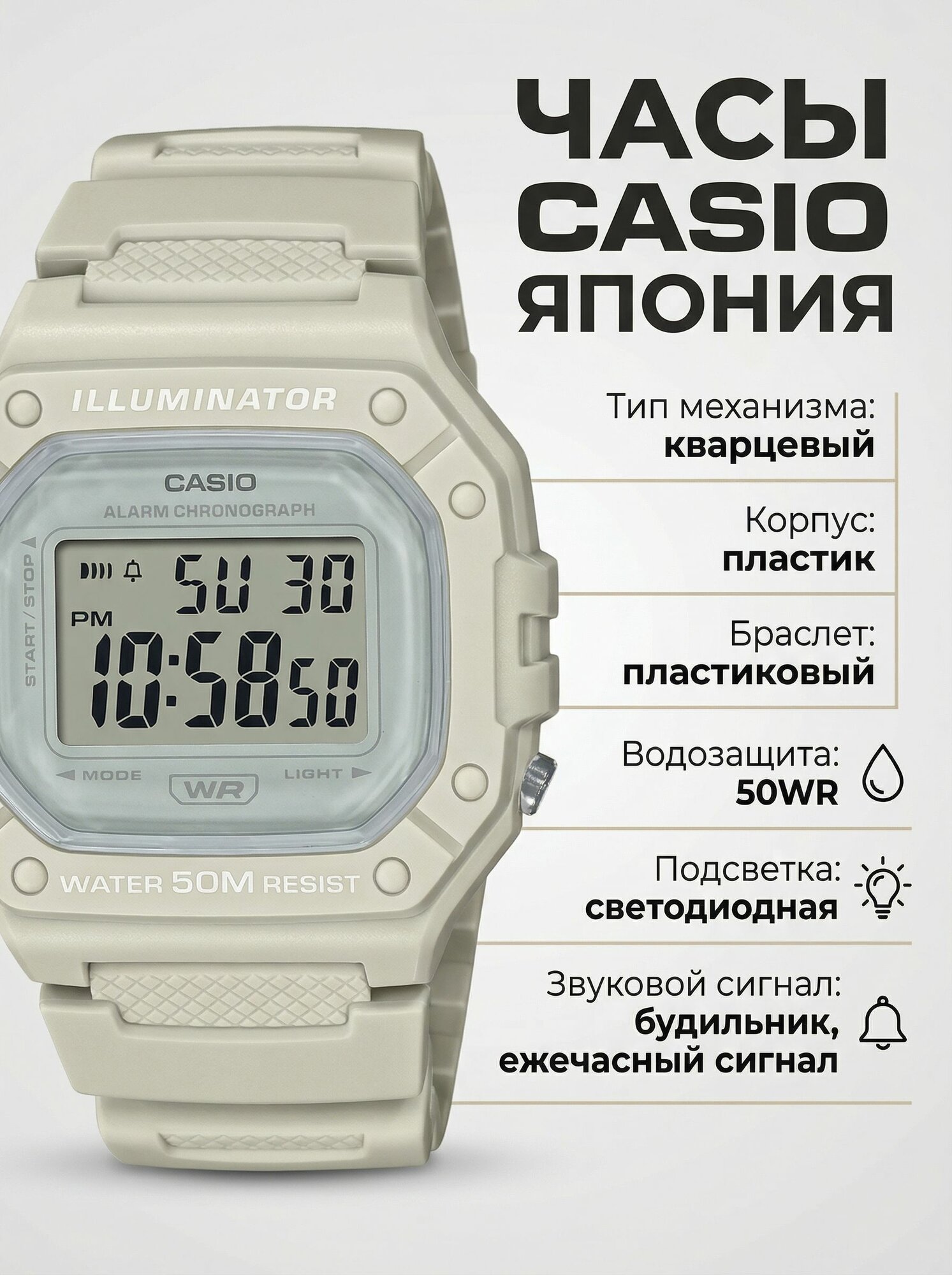  CASIO