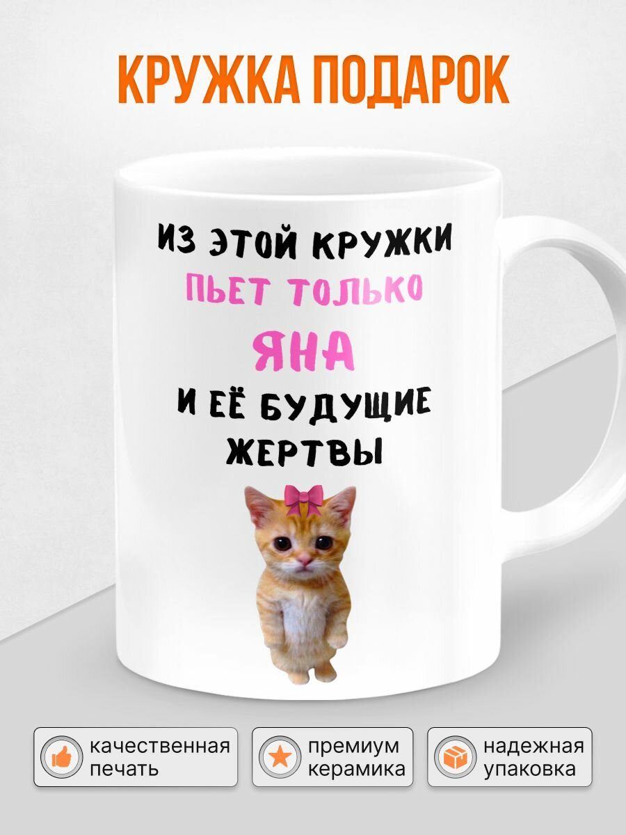 Кружка с приколом с котиком с именем Яна, 330 мл, 1 шт.