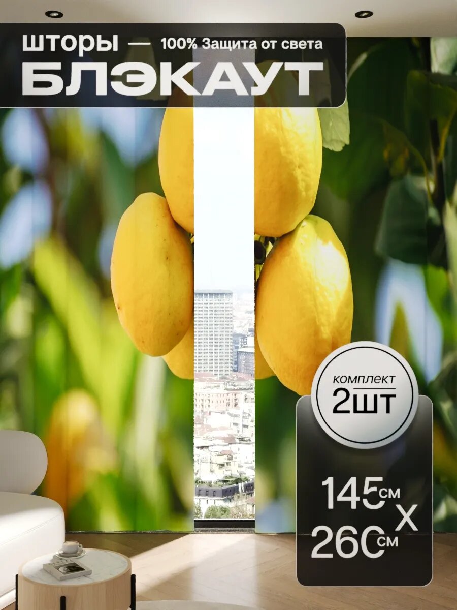 Шторы блэкаут 145x260 см 2 шт на окна плотные комплект
