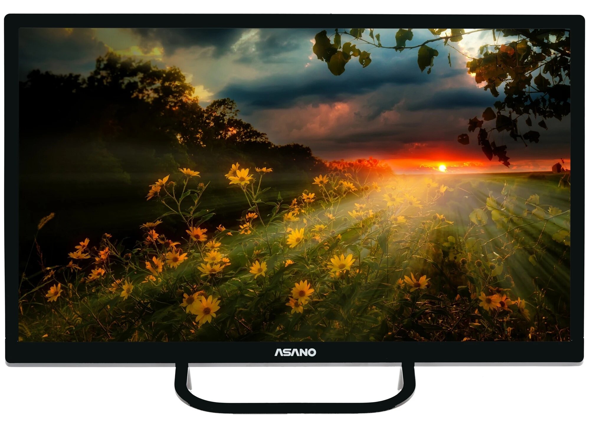 Телевизор Asano 24LH1110T 24" HD, черный