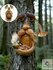 Фигурка садовая