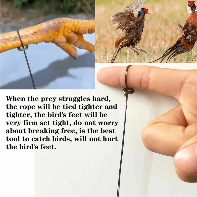 Tool for Livestock Cages — фото 1