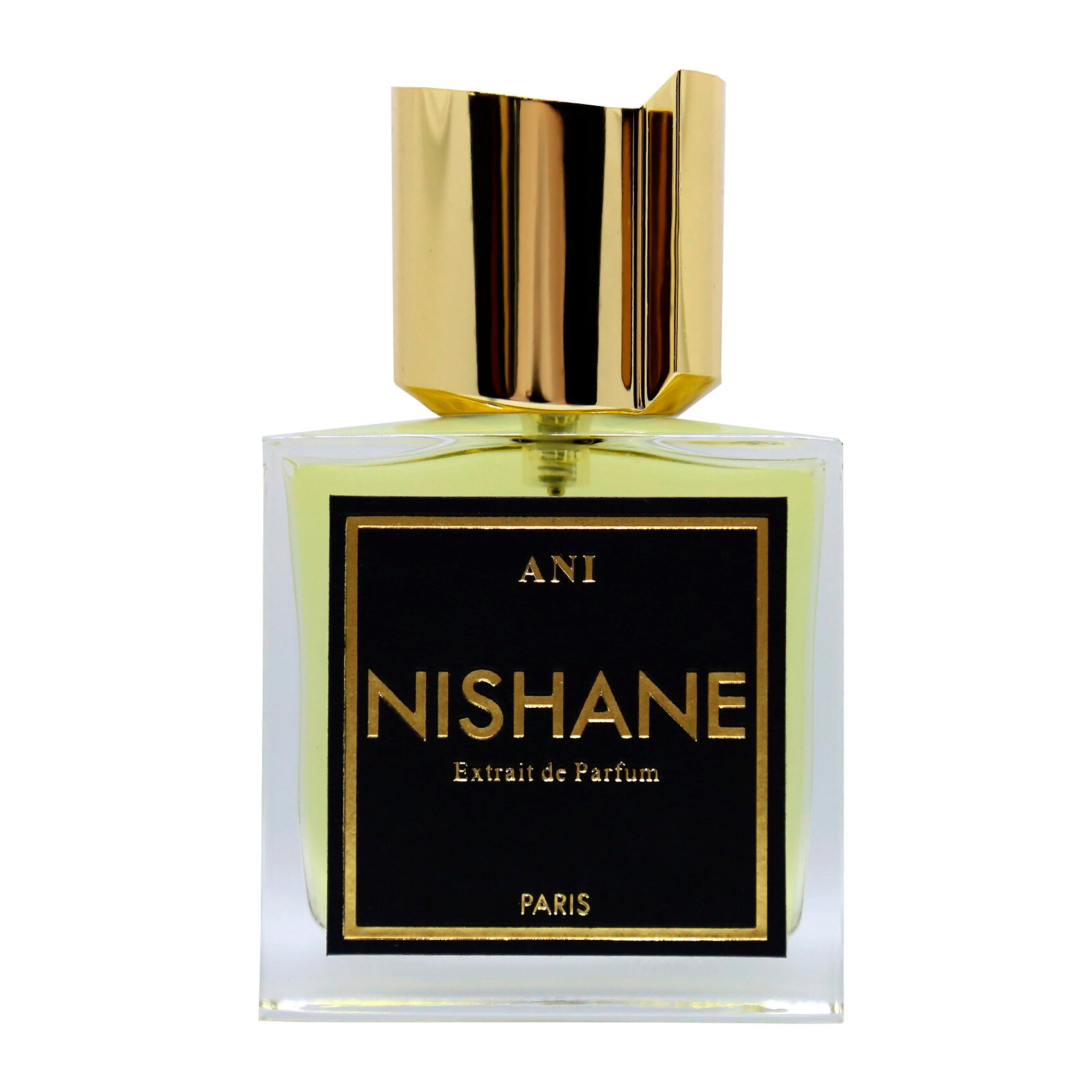 NISHANE Ani Духи для женщин, восточно-цветочный аромат, 100 ml