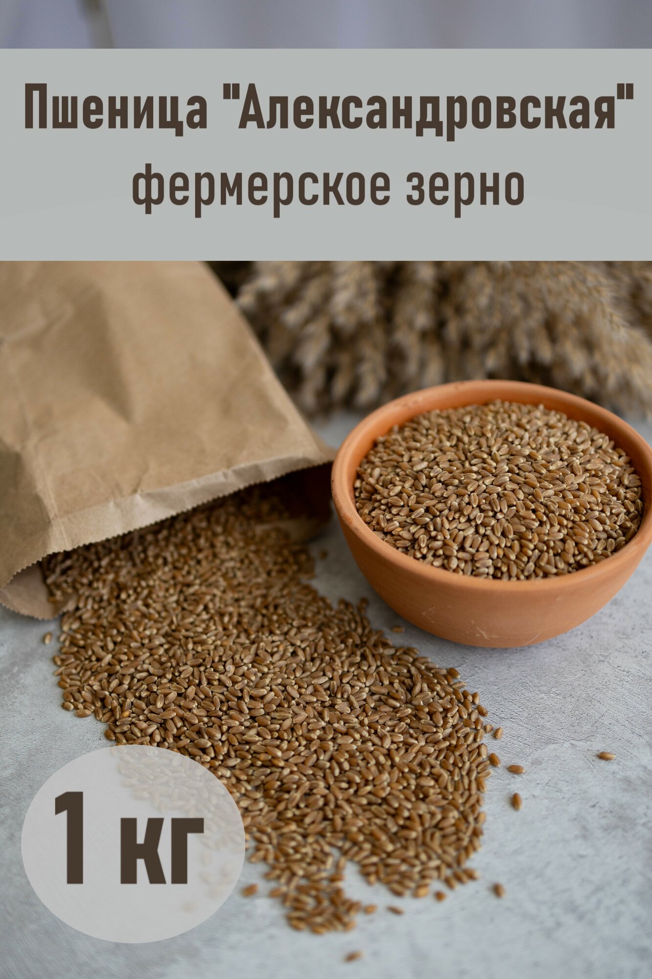 Пшеница "Александровская", зерно фермерское, фасовка 1 кг, свежий урожай