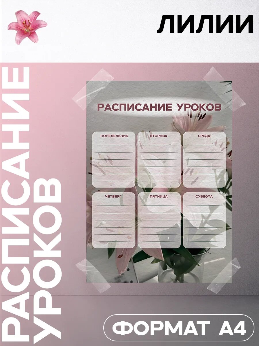 Расписание уроков для школы Лилии