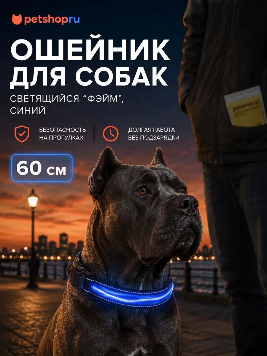 Tappi Светящийся ошейник "Фэйм", L