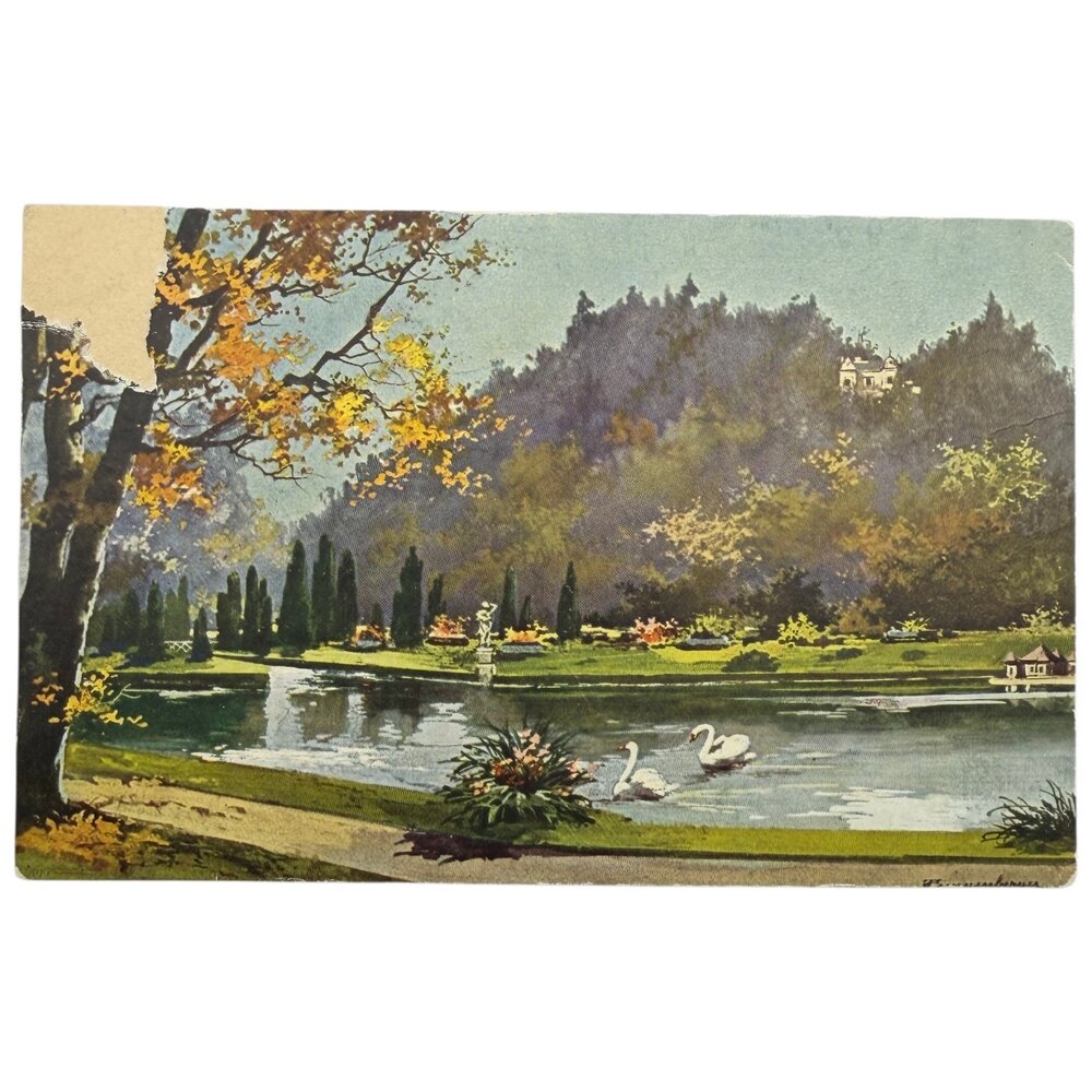 Почтовая открытка "Лебединый пруд в дворцовом парке" 1900-1917 гг. Германская Империя