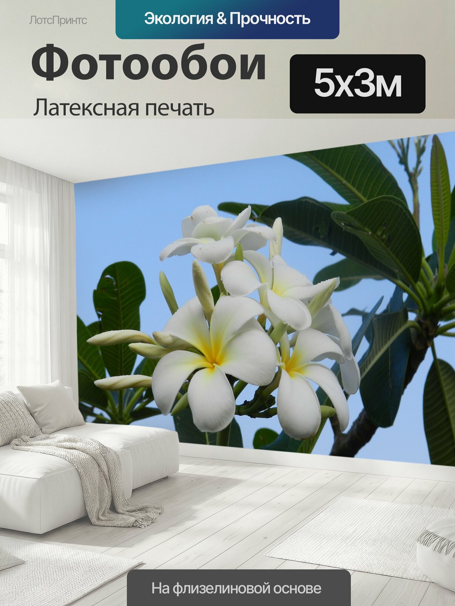 Фотообои моющиеся ударопрочные "Ароматные цветы, белые цветы, франжипани" 500x300 см. латексная печать