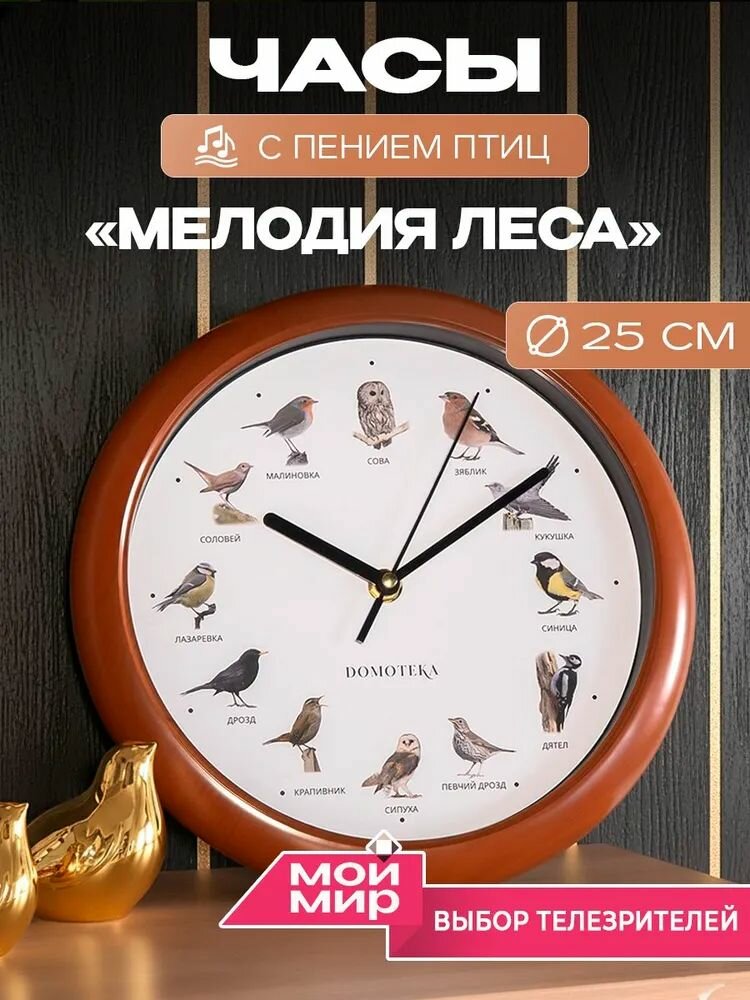 DOMOTEKA Настенные часы