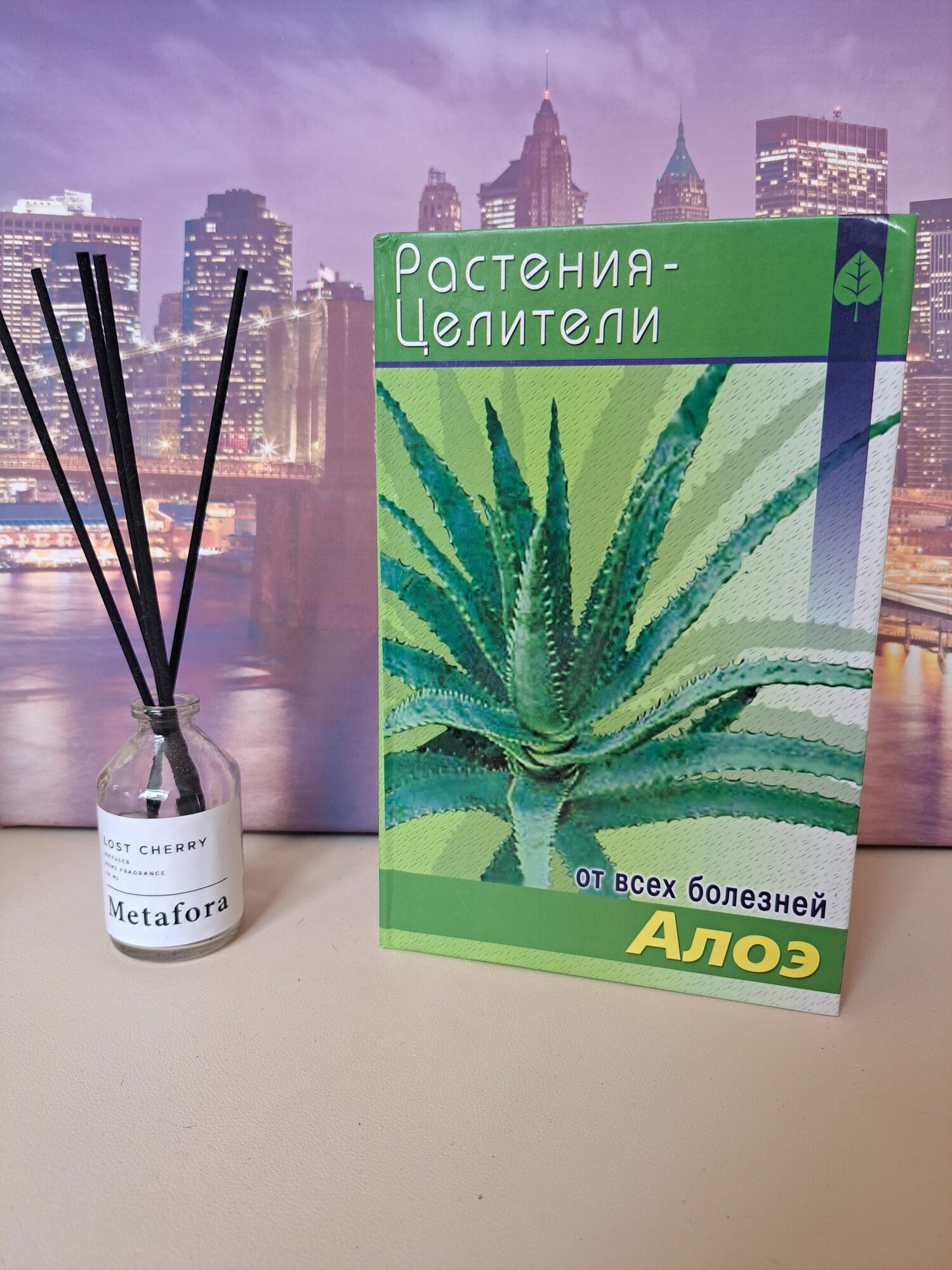 Растения-целители. Алоэ