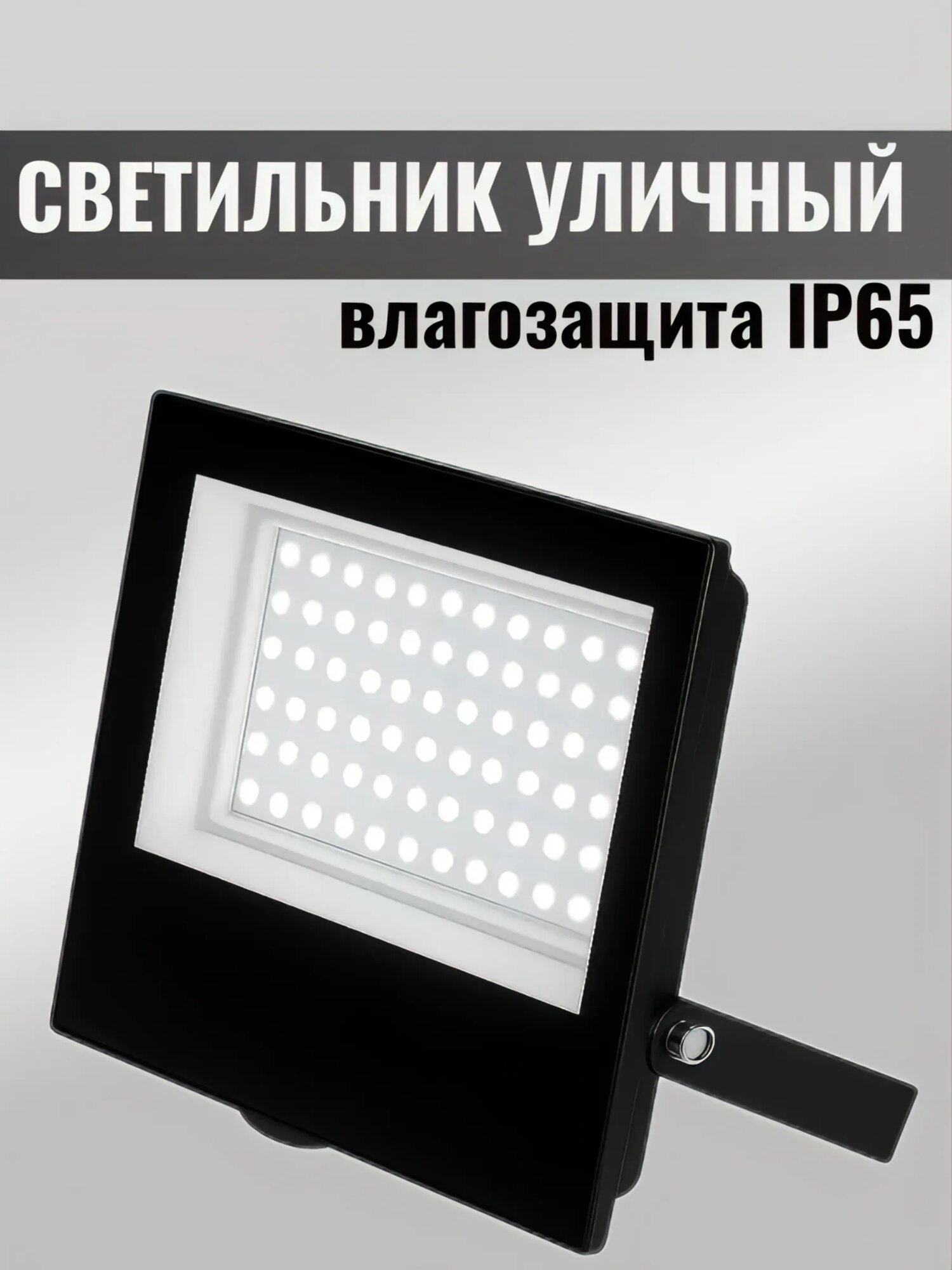 Фонарь уличный , мощность 100 Вт, степень пылевлагозащиты IP65