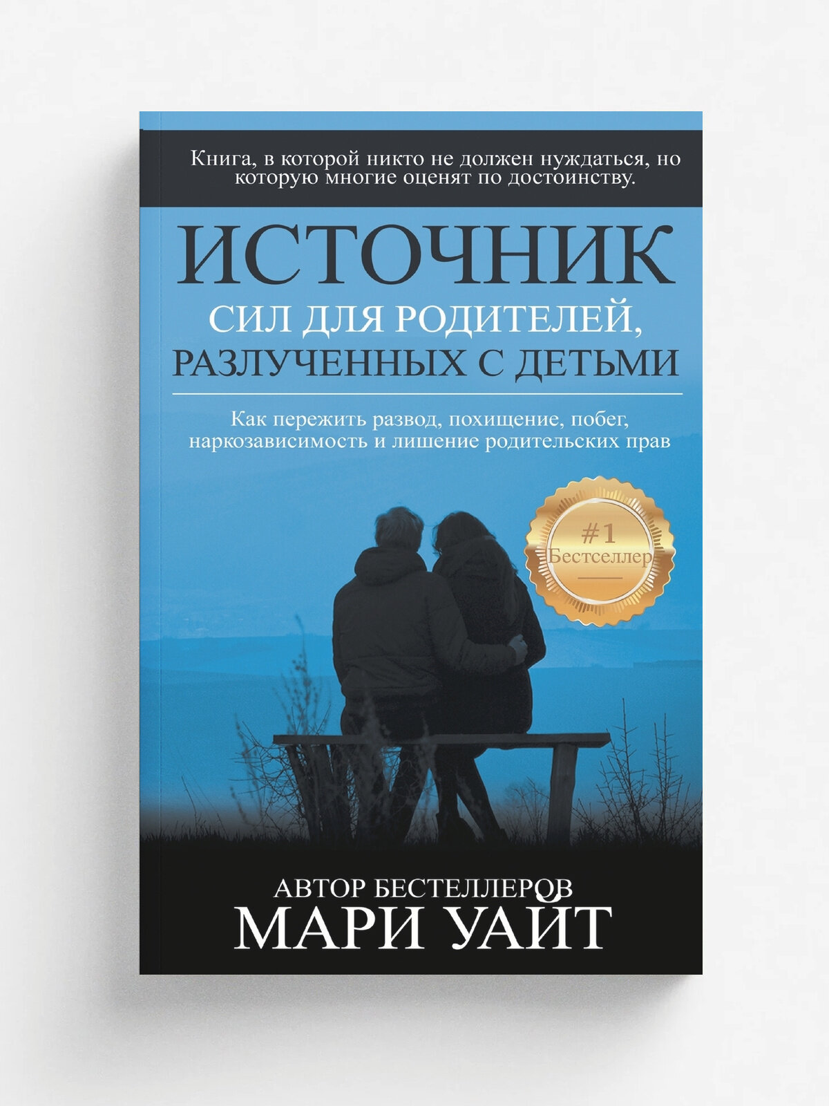 Источник сил для родителей, разлученных с детьми. Как пережить развод, похищение, побег, наркозависимость и лишение родительских прав
