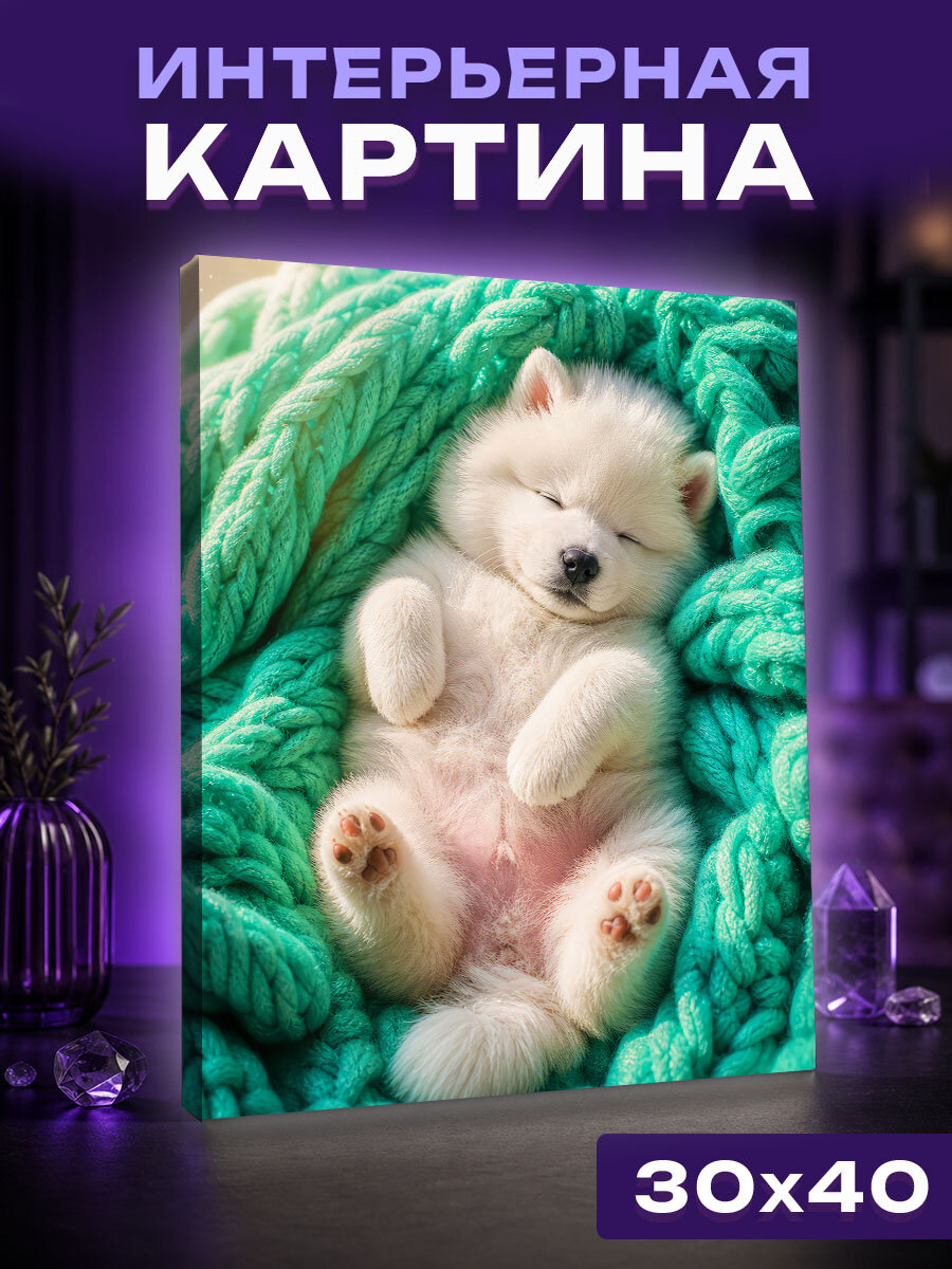 Интерьерная картина Сон мятного самоеда