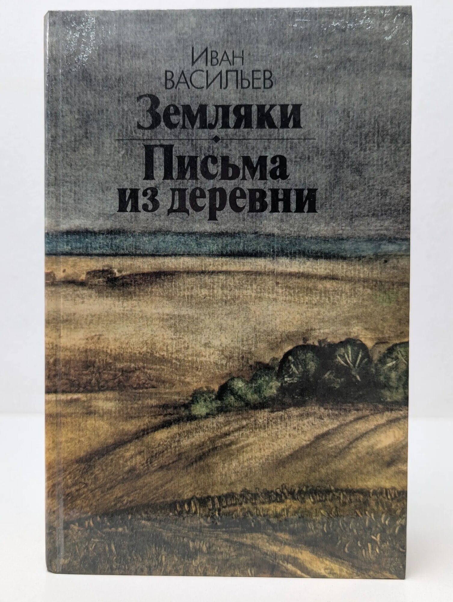 Земляки. Письма из деревни Васильев Иван Афанасьевич 1985