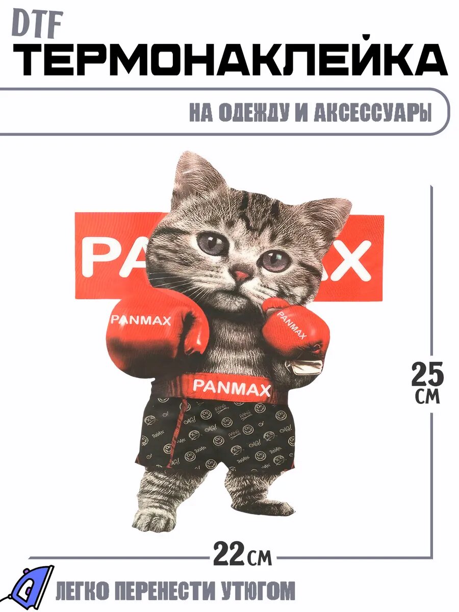 Термонаклейка Кот Боксер