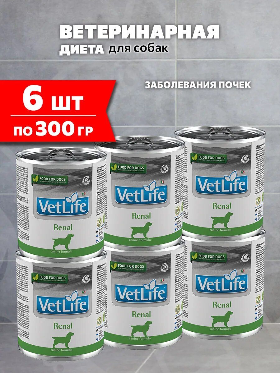 Корм влажный Farmina Vet Life Canin Renal для взрослых собак при заболеваниях почек, 300 г 6 шт