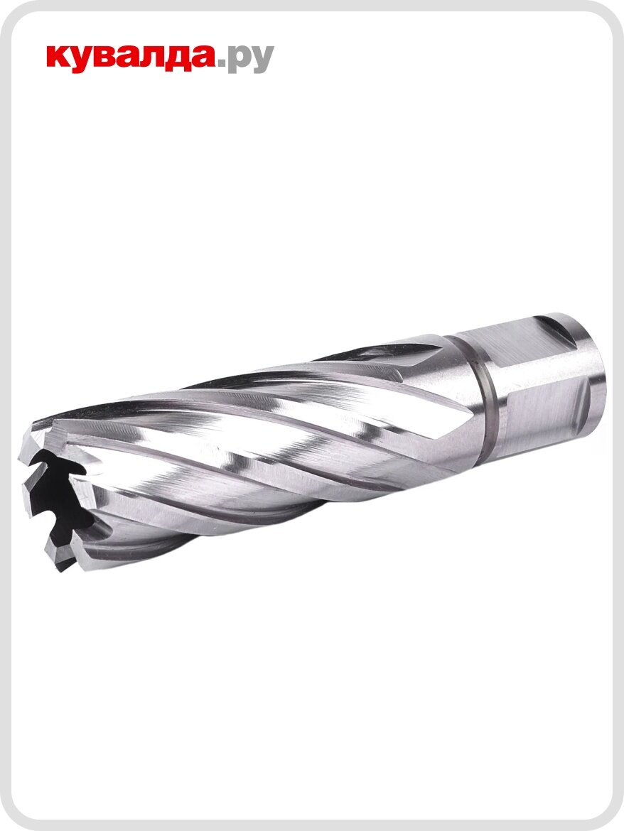 Сверло по металлу Профоснастка D25 L=55/88 мм №18 WELDON19 HSS M2 корончатое