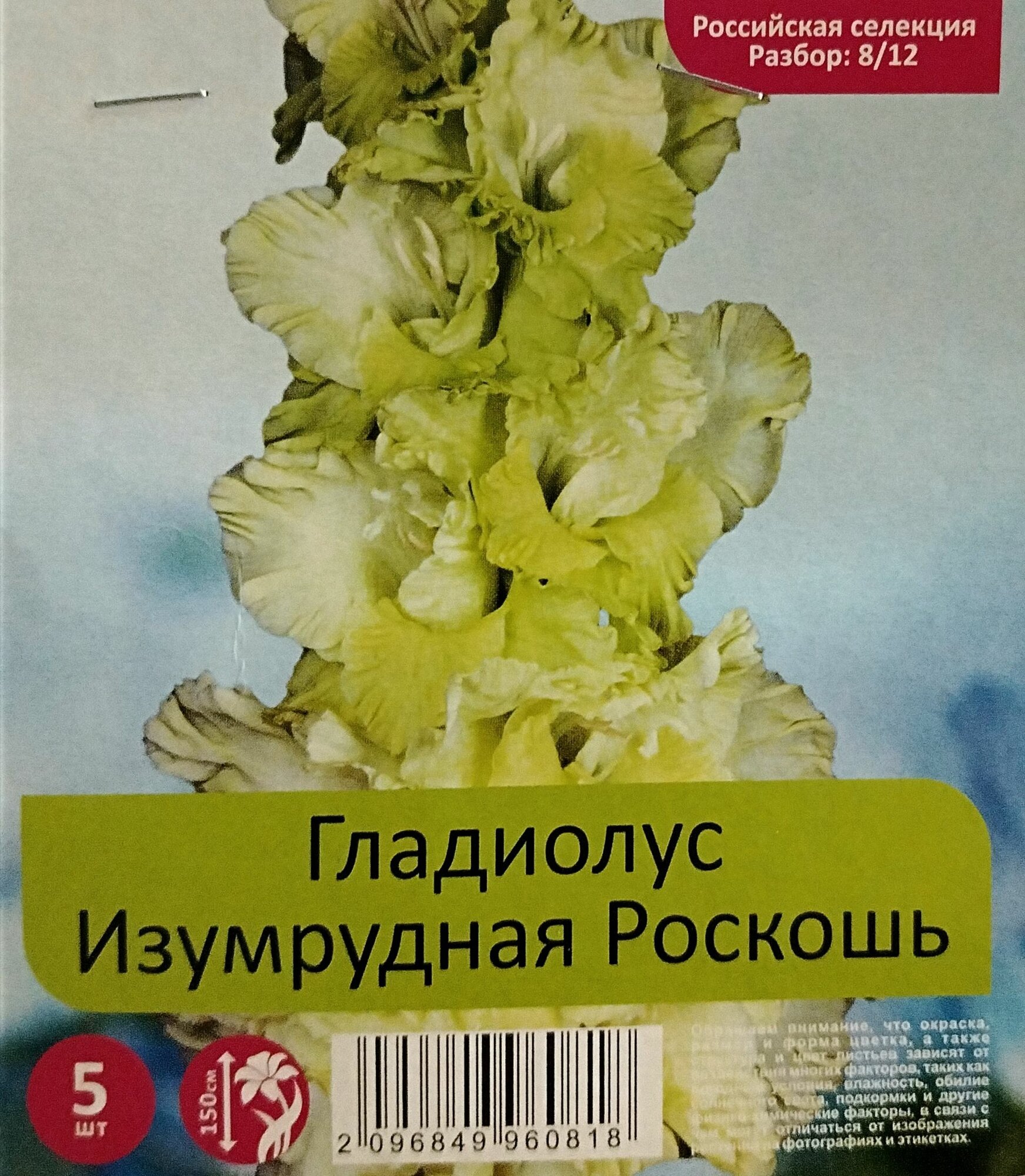 Гладиолус "Изумрудная Роскошь" 1 луковица