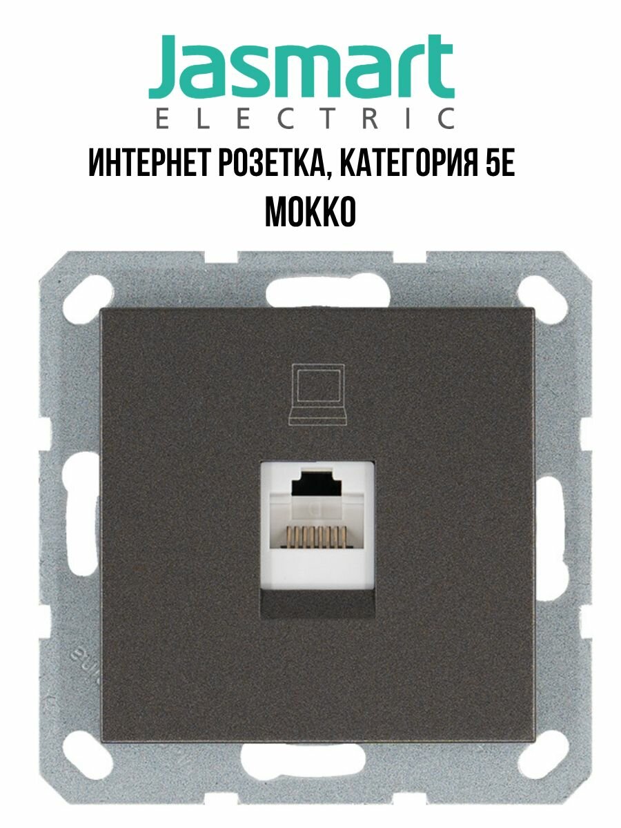 Интернет-розетка RJ45 категория 5е с накладкой jasmart