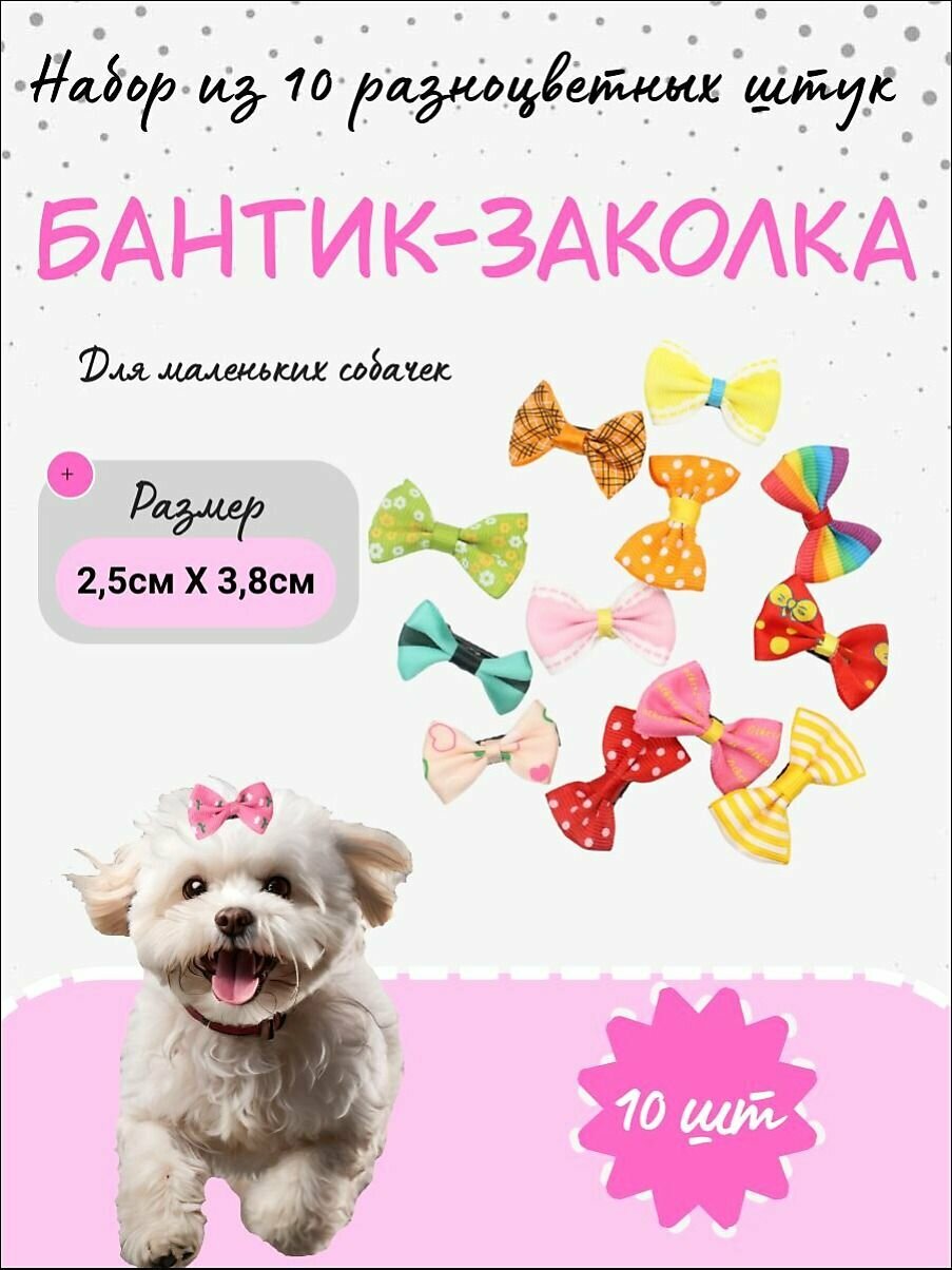10 разноцветных бантиков - заколок для кошек и собак мелких пород